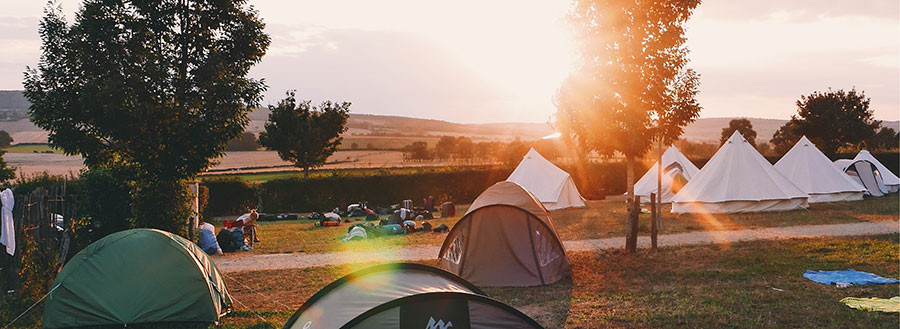 Forest View Staff • Our People • Forest View High School